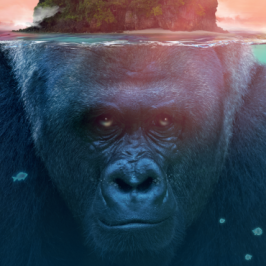 About KIKK - Kikk Festival