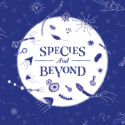 About KIKK - Kikk Festival